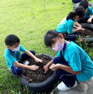 Ecological Education → Laudato Si' Week → Ways to Take Eco Action Now ...